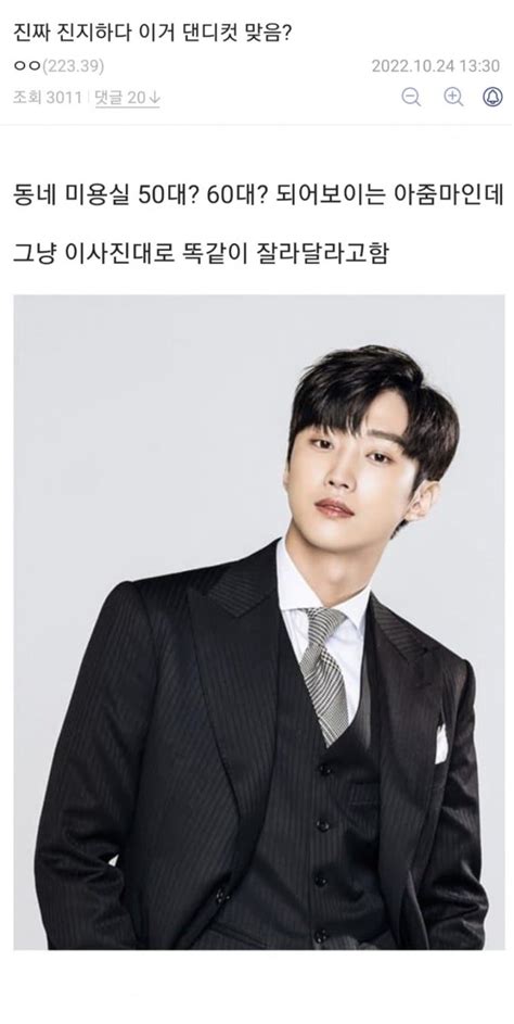 디시인사이드 헤어 갤러리 레전드 총집합 대참사 유머월드