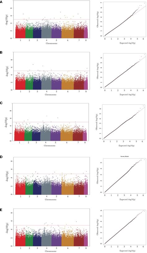Genome Wide Association Mapping Of Seed Oligosaccharides In Chickpea Abstract Europe PMC