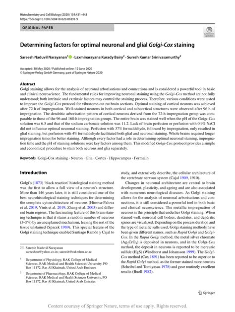 Determining Factors For Optimal Neuronal And Glial Golgi Cox Staining