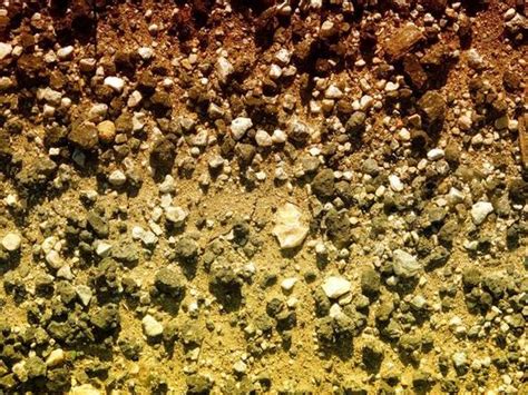 Soil Particles Stock Photos Images And Backgrounds For Free Download