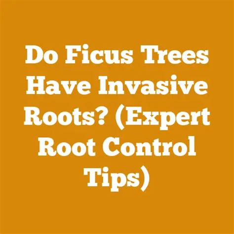 Do Ficus Trees Have Invasive Roots Expert Root Control Tips