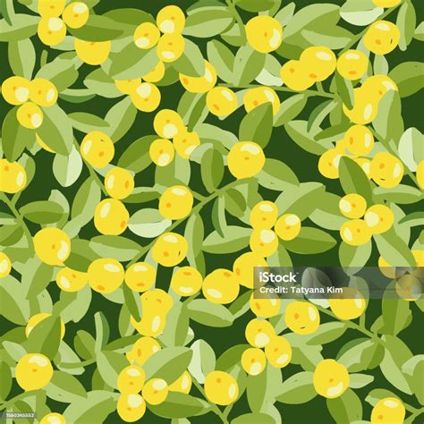 원활한 벡터 배경 녹색 잎과 익은 귤 분기 한다 야채 과일 텍스처입니다 감귤에 대한 스톡 벡터 아트 및 기타 이미지 감귤 감귤류 과일 개체 그룹 Istock