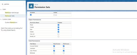 Permission Set In Salesforce Pashtek