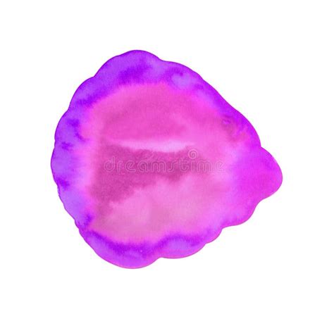 Shell Form Drawn With Watercolorhandmade On White Background Stock Shell Form Drawn With Watercolorhandmade On White Background Stock