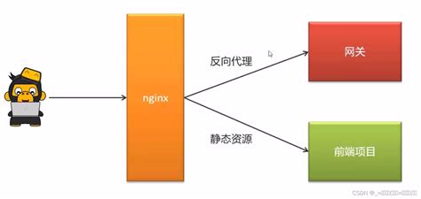 黑马头条项目结构nacos和nginx区别 Csdn博客
