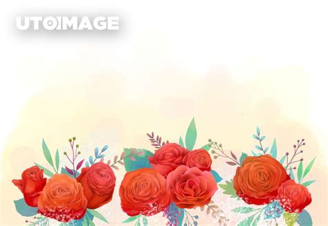 수채화 장미꽃 일러스트 C200204 Cooltree 일러스트 식물 배경 빨간 장미 빨간색장미 열정 열정적 안개꽃 붉은색 빨간 새빨간 장미 장미꽃