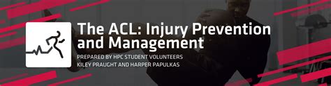 The Anterior Cruciate Ligament ACL Injury Prevention And Management Strategies Babe Wellness