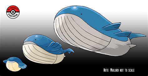 Pokémon Whale Wallpapers Wallpaper Cave
