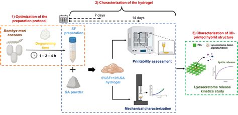 Silk Fibroin Bioink For 3d Printing In Tissue Regeneration Controlled Release Of Msc