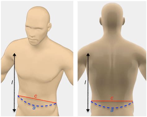 Frontiers Task Specific Robot Base Pose Optimization For Robot Assisted Surgeries