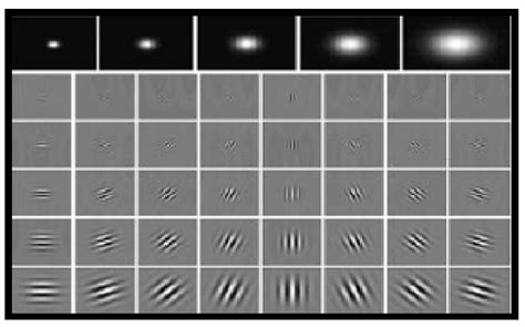 Real Part And Imaginary Parts Of Gabor Kernel The Gabor Wavelets Can Be Download Scientific