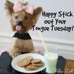 50 Amazing Tuesday Morning Funny Quotes And Images