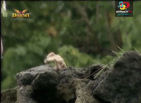 Babaeng Linta Drains Anita By Jtjoto On Deviantart