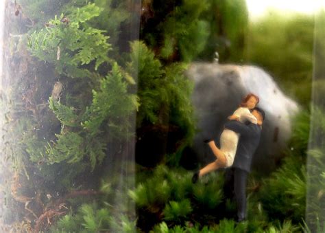 Romantik Kit Closeup Twig Terrariums Twig Terrariums Flickr