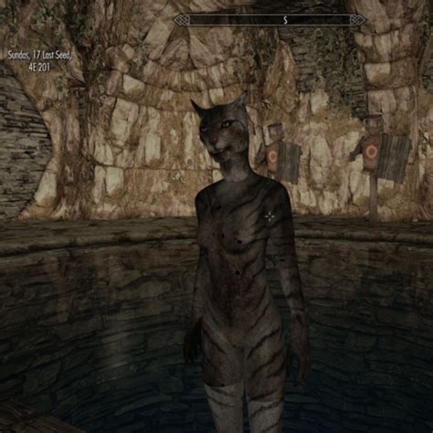 Bathing In Skyrim Tweaked Se Edition Adult Mods Loverslab