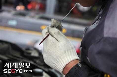 설연휴 장거리 운행 전 차량 점검 필수실천은 글쎄 세계일보