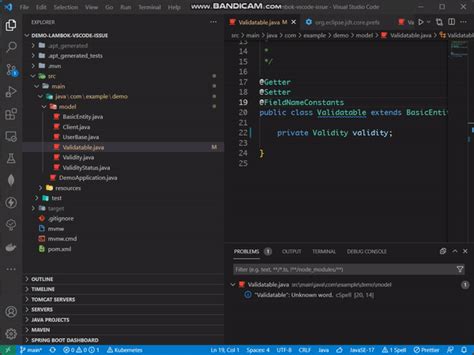 Error When Using Lombok Issue Redhat Developer Vscode Java
