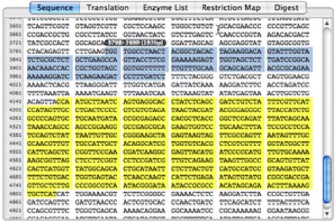 EnzymeX For Mac Download