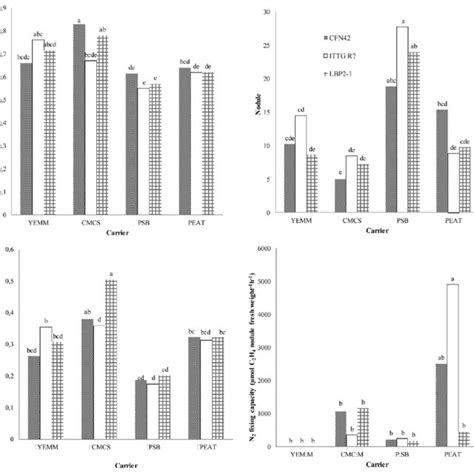 Plant Growth Nodulation And Nitrogen Fixation Of Phaseolus Vulgaris