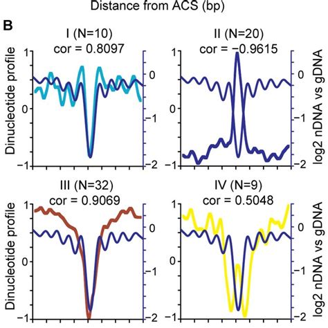 Correlation Of Nucleosome Position With Dna Sequence Features A Gc Download Scientific