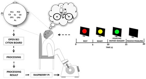 Effect Of A Braincomputer Interface Based On Pedaling Motor Imagery On Cortical Excitability