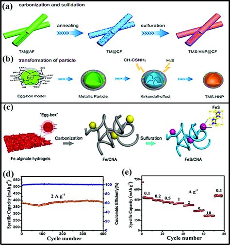 Schematic Illustrations Of The Synthesis Of A TMS HNP CFs And B The Download Scientific