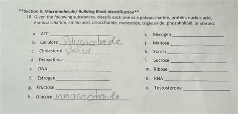 SOLVED Section Macromolecule Building Block Identification Given The Following