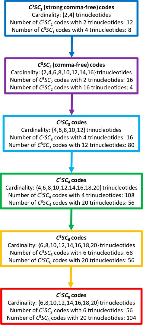 a model of the evolution of self complementary circular codes a code