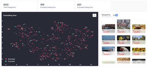 Active Learning Ragaai
