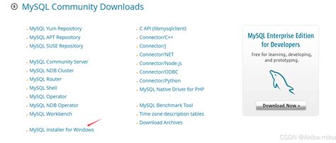【数据库篇一 Mysql的安装与配置windows】mysql Installer For Windows Csdn博客 【数据库篇一 Mysql的安装与配置windows】mysql Installer For Windows Csdn博客