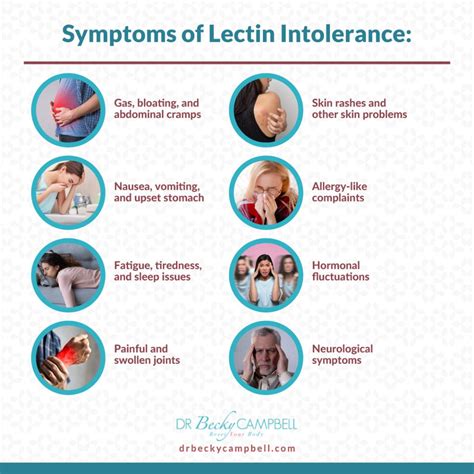 Lectin Histamine At Stephanie Gray Blog