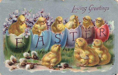 C1909 Raphael Tuck Large Letter Chicks Hatching Willows Eggs Easter