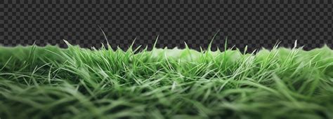 Png Green Grass Border Background Free Png Rawpixel