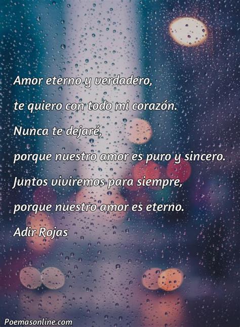 Cinco Mejores Poemas De Amor Eterno Y Verdadero Poemas Online