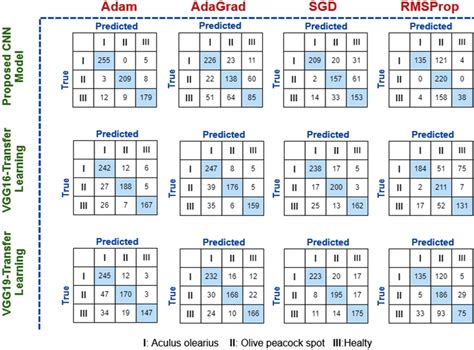 Confusion Matrixes In Proposed Cnn Model And Vgg Models With Data