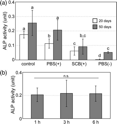 Alp Activities Of Freeze‐dried Cell Constructs A Cell Constructs