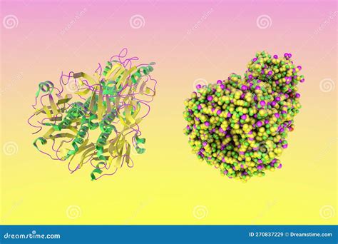 Molecular And Crystal Structure Of Typhoid Toxin Produced By Bacterium