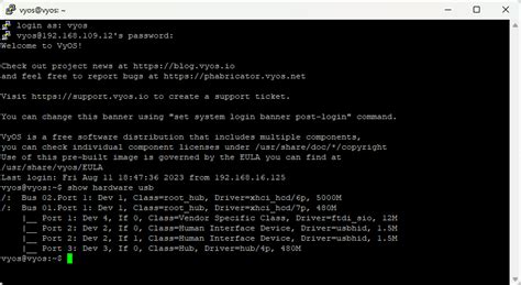 How To Use Vyos As A Console Server Protectli Knowledge Base