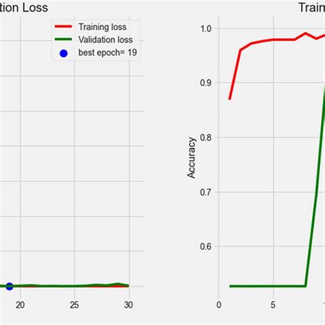 The Training And Validation Process Of The Dcnn Model Source Authors