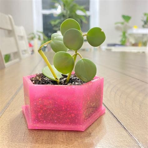 Pink Planter Etsy