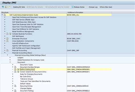 Posting Key Sap Calling GUI Transaction From FPM Application