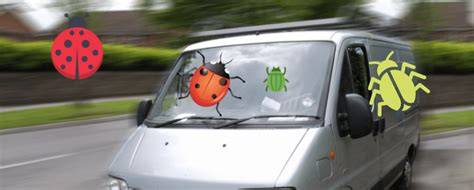 How To Remove Bugs From Your RV Full Guide