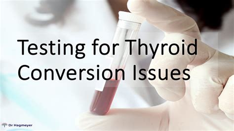 Thyroid Conversion Issues Everthing You Ever Wanted To Know Dr Hagmeyer
