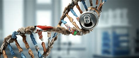 Quine Self Replicating Computer Programs Dev Community