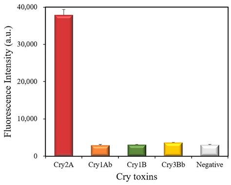 Quantum Dot Bead Based Fluorescence Linked Immunosorbent Assay For