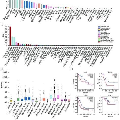 Expression Of Aspm In Various Tissues Cancer Species And Cell Lines