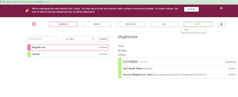 Net Core微服务实施之consul服务发现与治理 Dotnetgeek 博客园