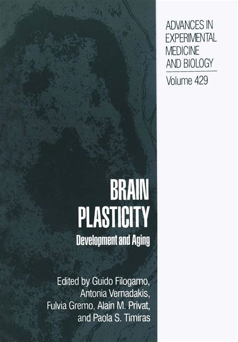 Brain Plasticity Development And Aging Advances In Experimental