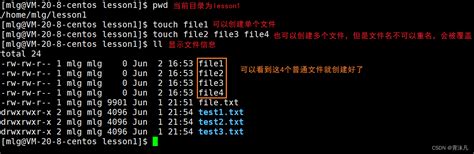 Linux初识 基本指令的使用 阿里云开发者社区