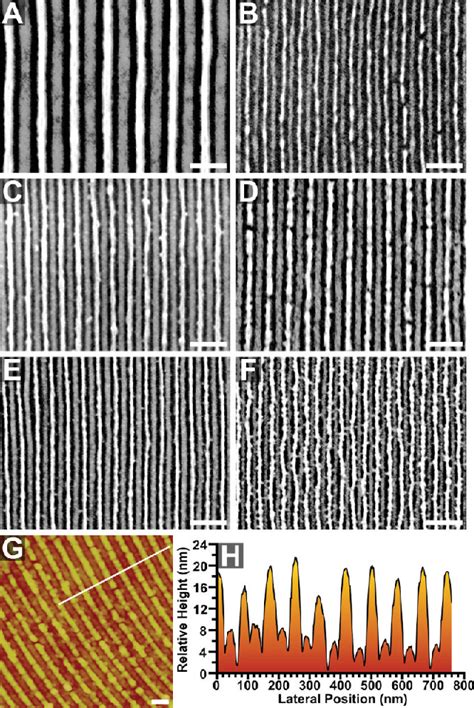 Figure 1 From Density Doubling Of Block Copolymer Templated Features Semantic Scholar
